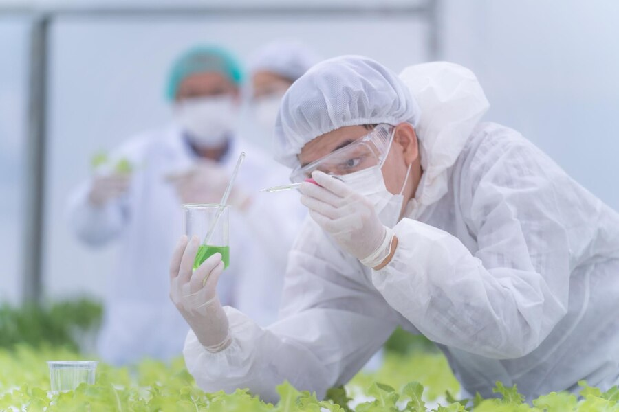 GHP มาตรฐานใหม่ในการผลิตอาหาร แตกต่างจาก GMP ของเดิมยังไง